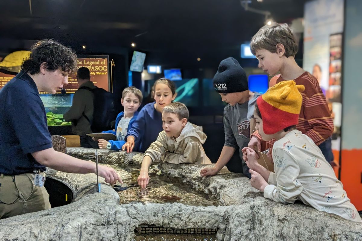 Coral reef unit anchors MB’s “Finding Nemo KIDS” in science | News Details