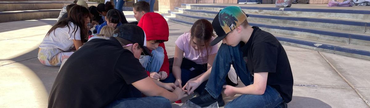 PBIS EOY Report - Picture Rocks Elementary School