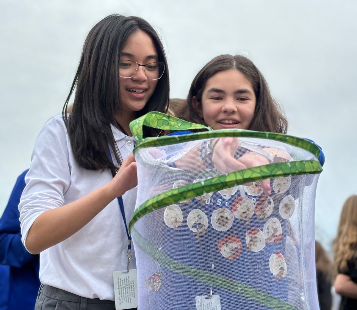 6th-Graders Observe Butterflies in Their Study of Metamorphosis | Page ...