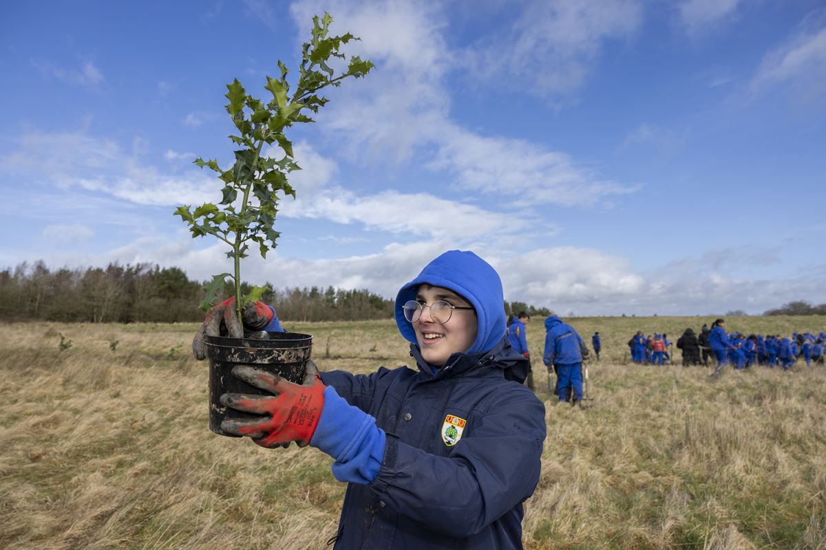 Green-fingered pupils surpass goal of planting 900 trees for 900th ...