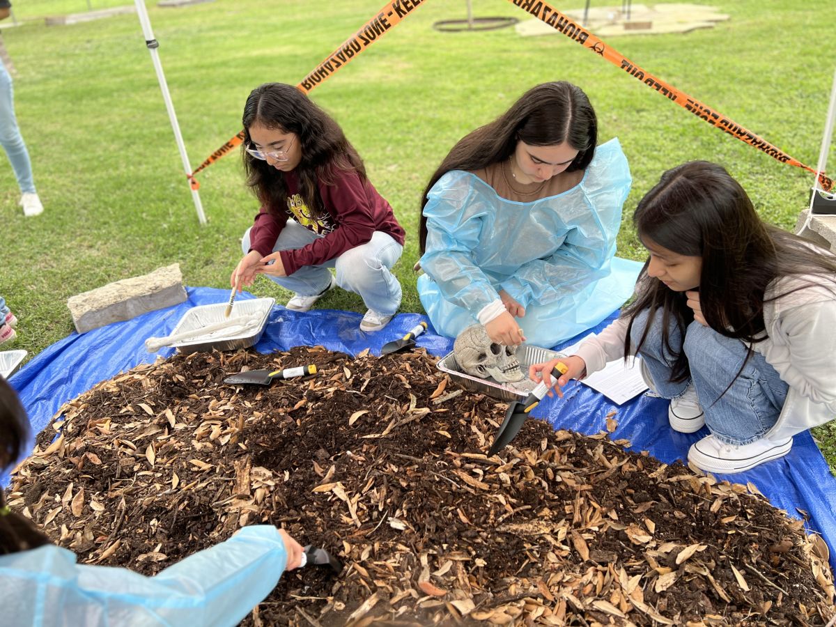 PSJA T-STEM Inspires Future Innovators at 9th Annual STEM Camp | School ...
