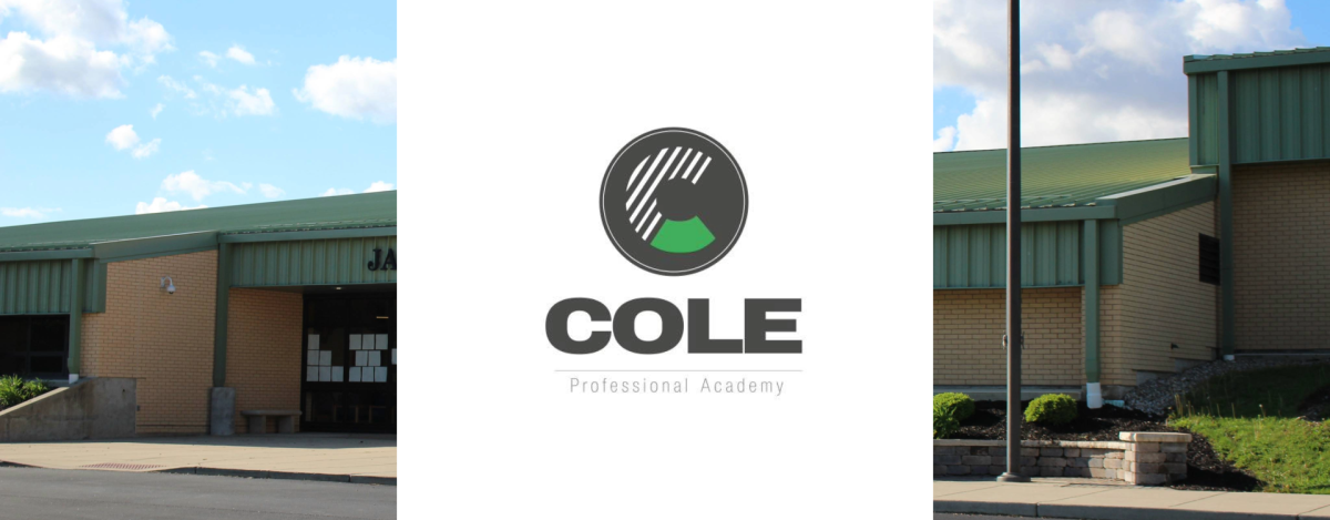 Cole Professional Academy celebrates five years | TSC Posts