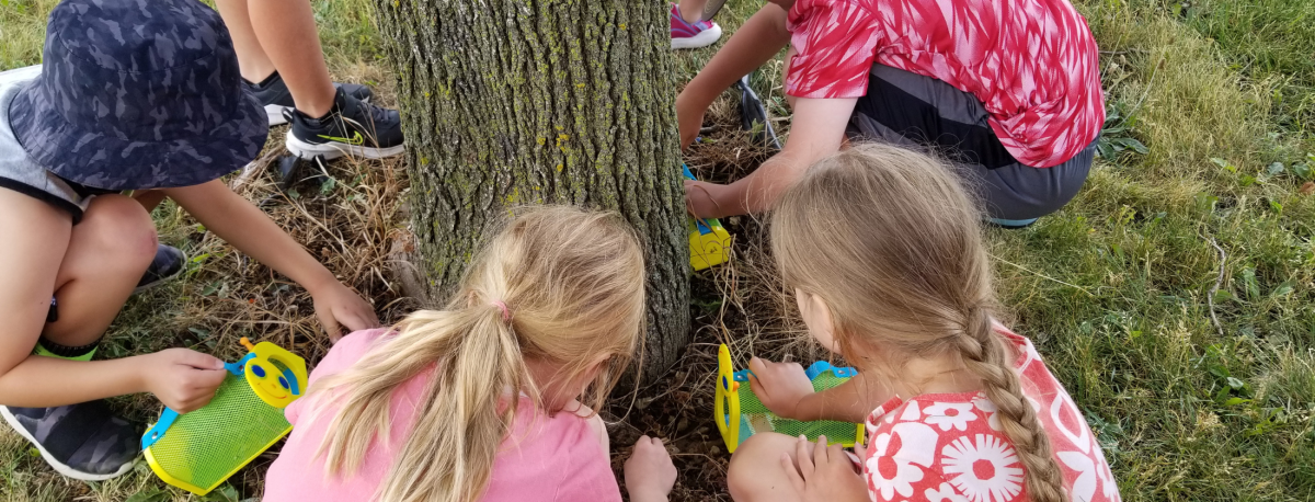 Oregon School District Summer Semester Program
