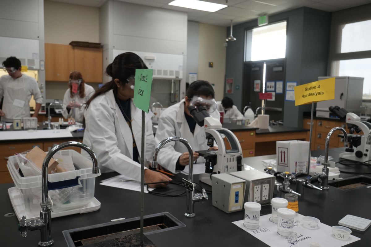 Regional Science Olympiad Results | article