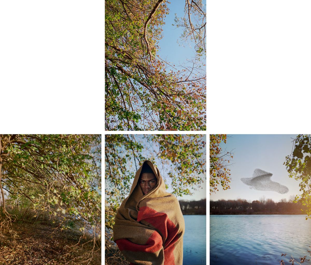 The Governor's Academy Exhibits "Sum of My Parts", An exhibit of the ...