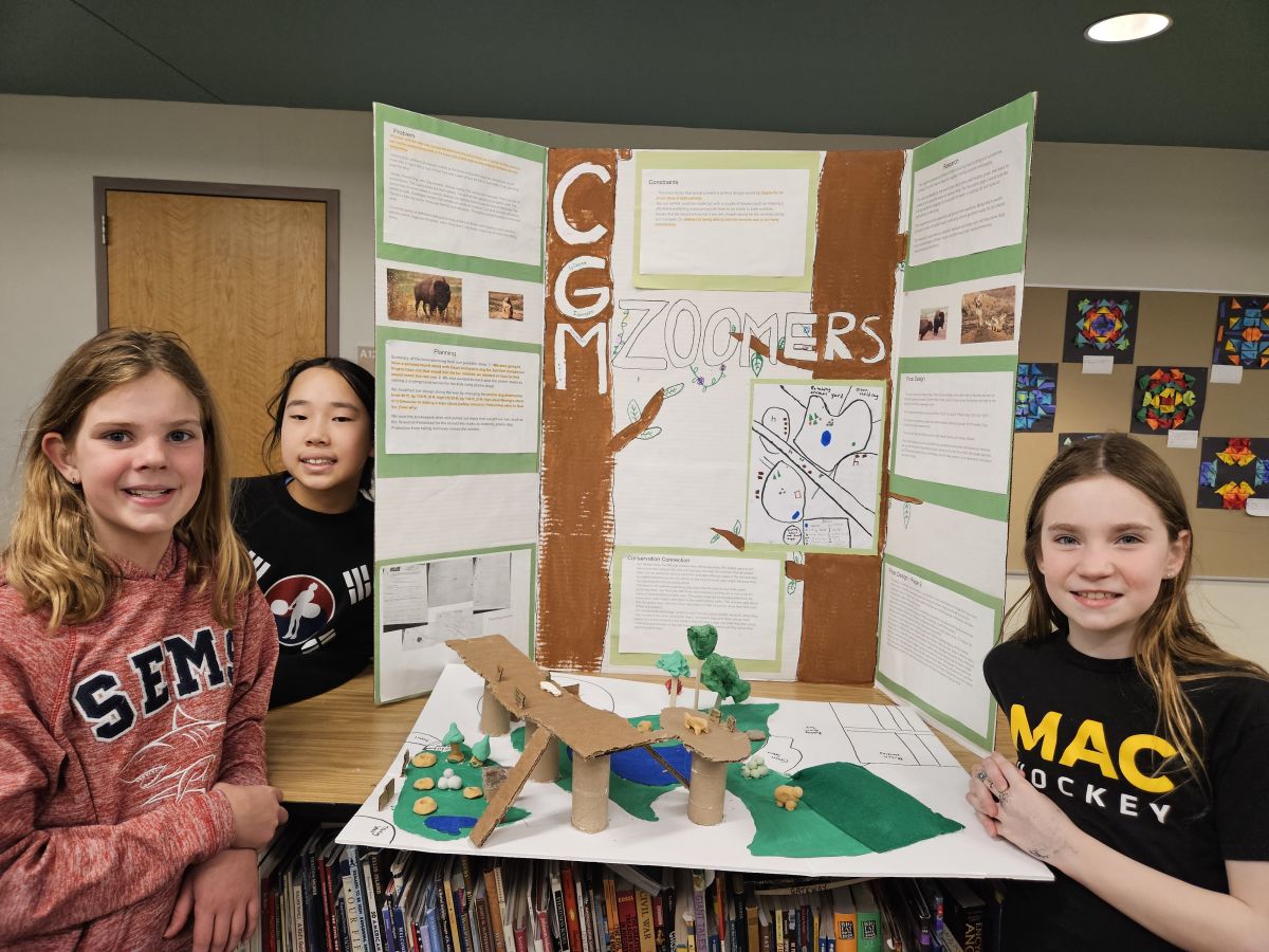 ZOOMS STEM Design Challenge | article