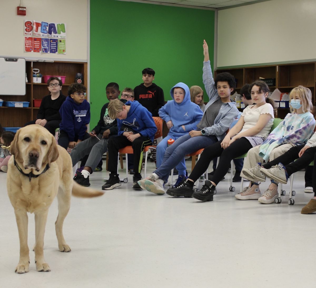 Furnace Woods Students Learn the Possibilities of STEAM | Post Details