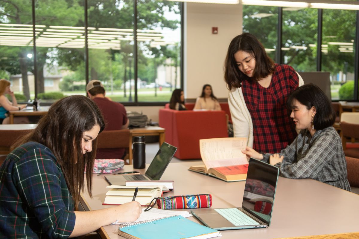 Scarbrough Summer Research Program | Details