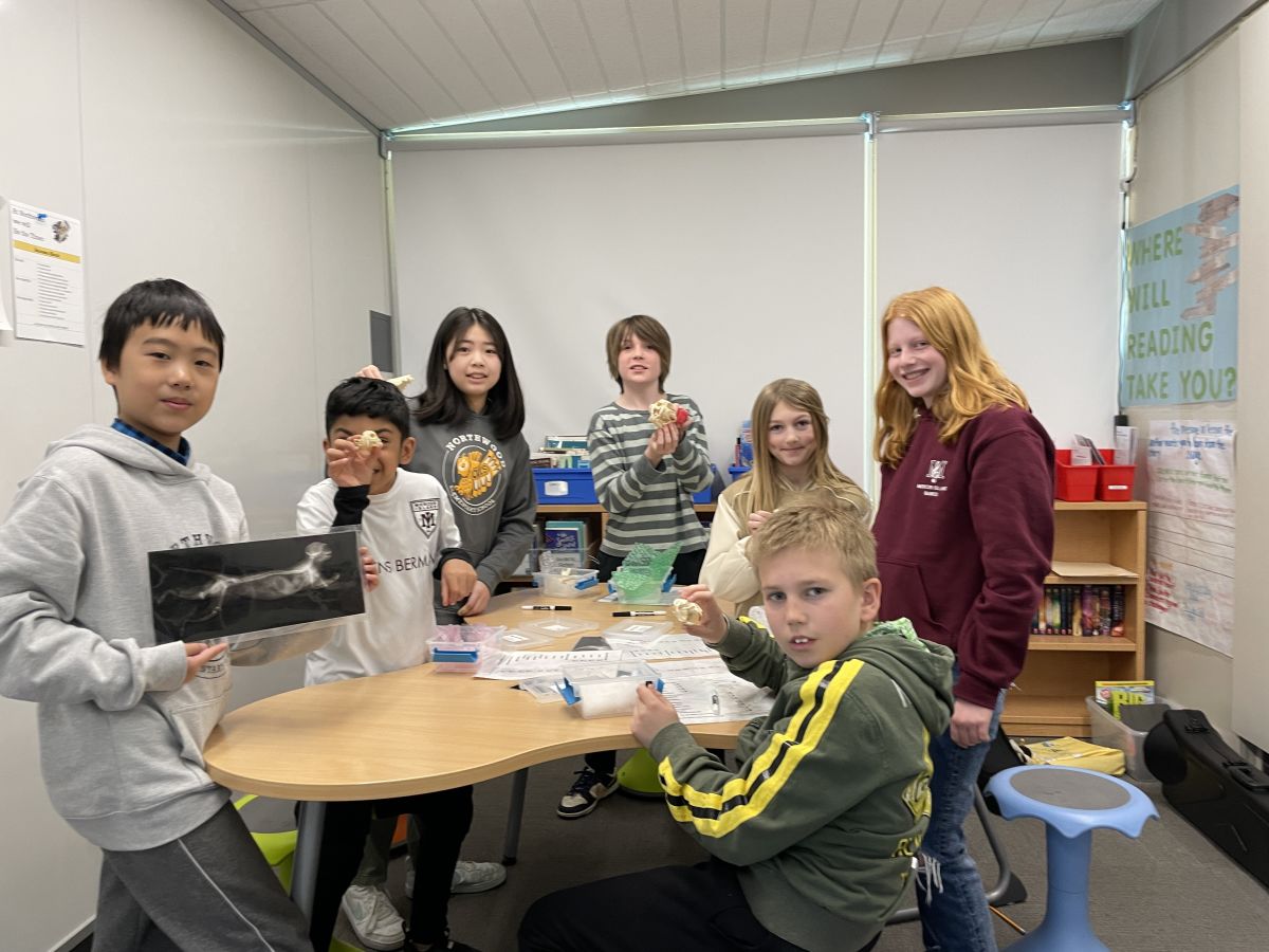 Skeletons and Skulls Presentation Visits Northwood 5th Grade Classes ...