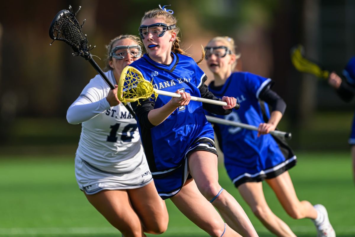 A Multifaceted Approach | Roar Article