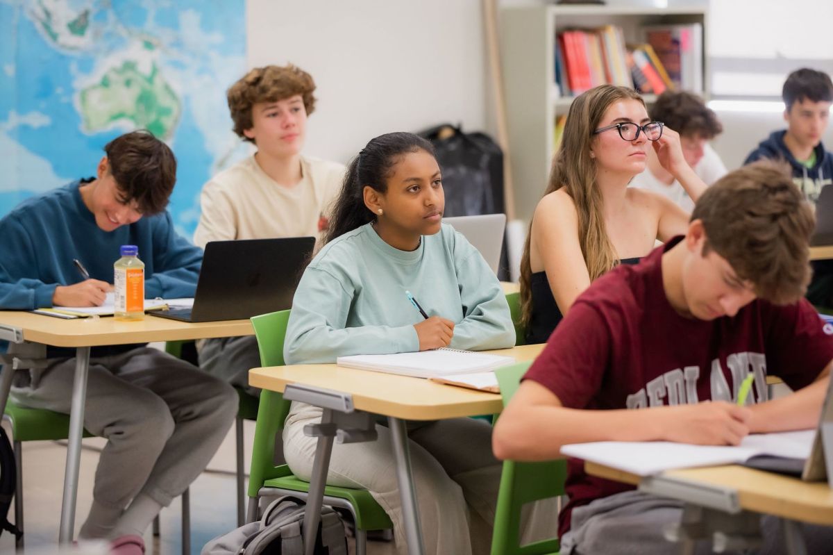 Social Studies | Details clone