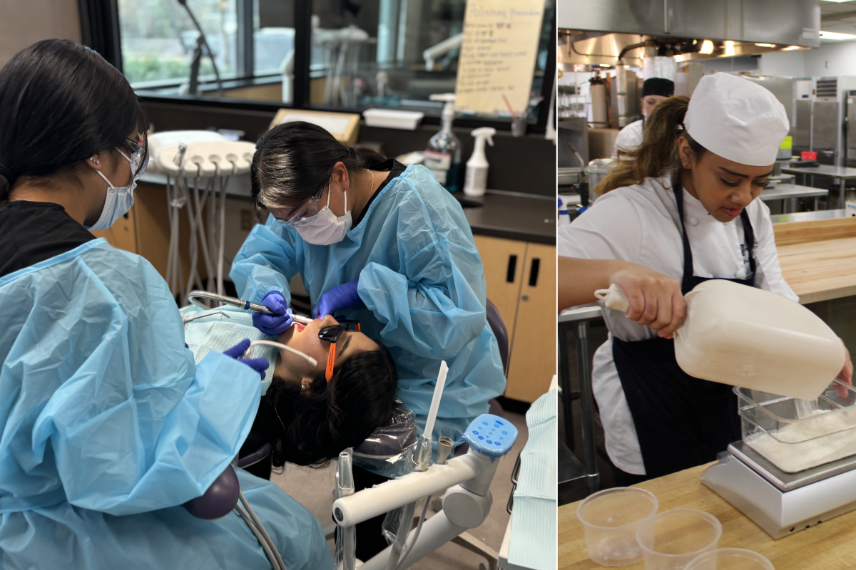 Hands-On, Workplace-Oriented Learning | News Details