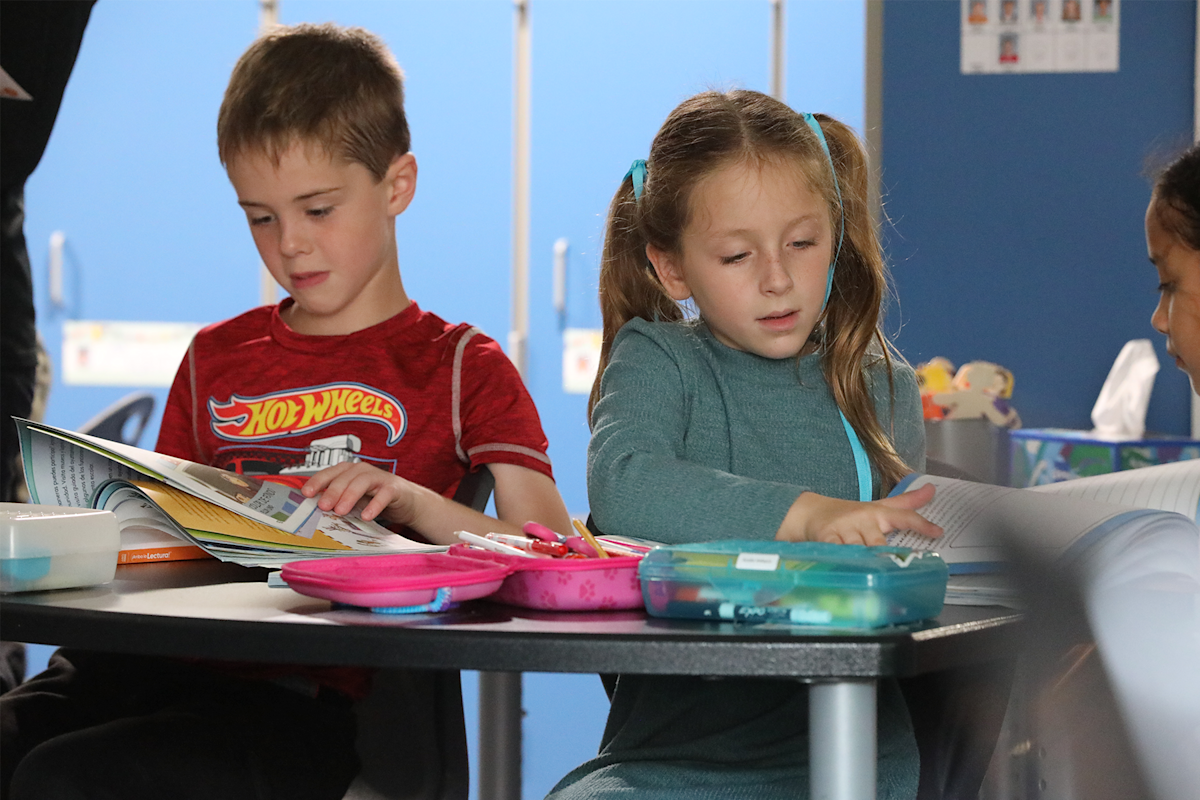 What is immersion education? | Classrooms