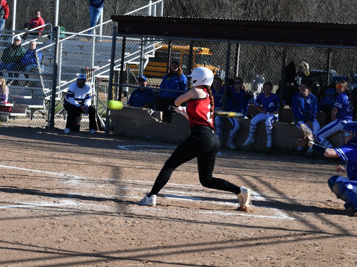 Softball | Details - Newman Catholic Schools