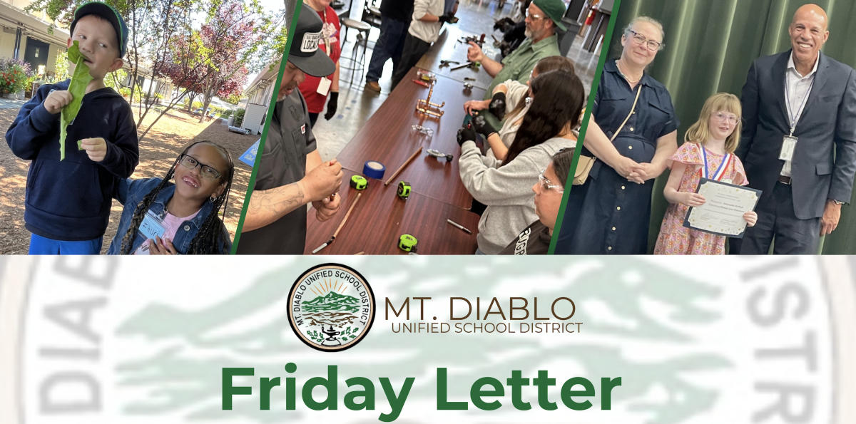 Friday Letter - April 19, 2024 | News Details