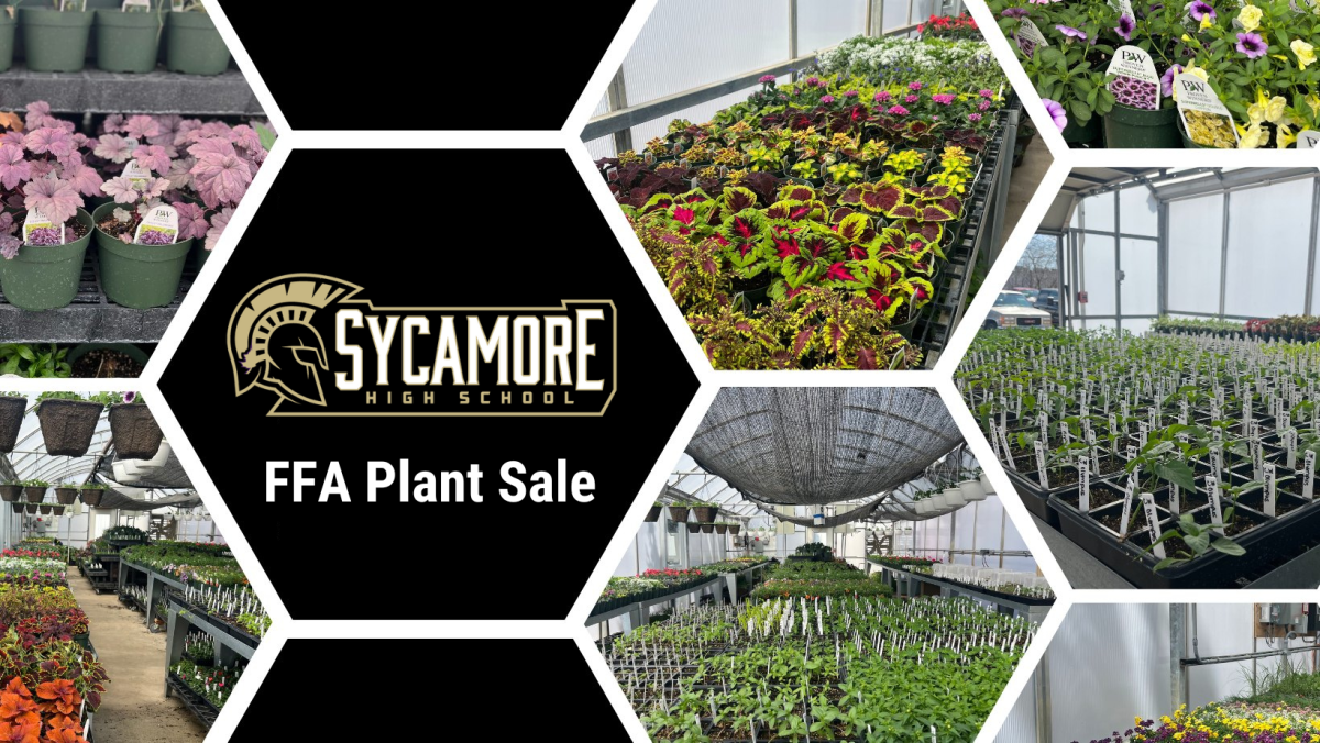 2024 FFA Plant Sale at Sycamore High School | News