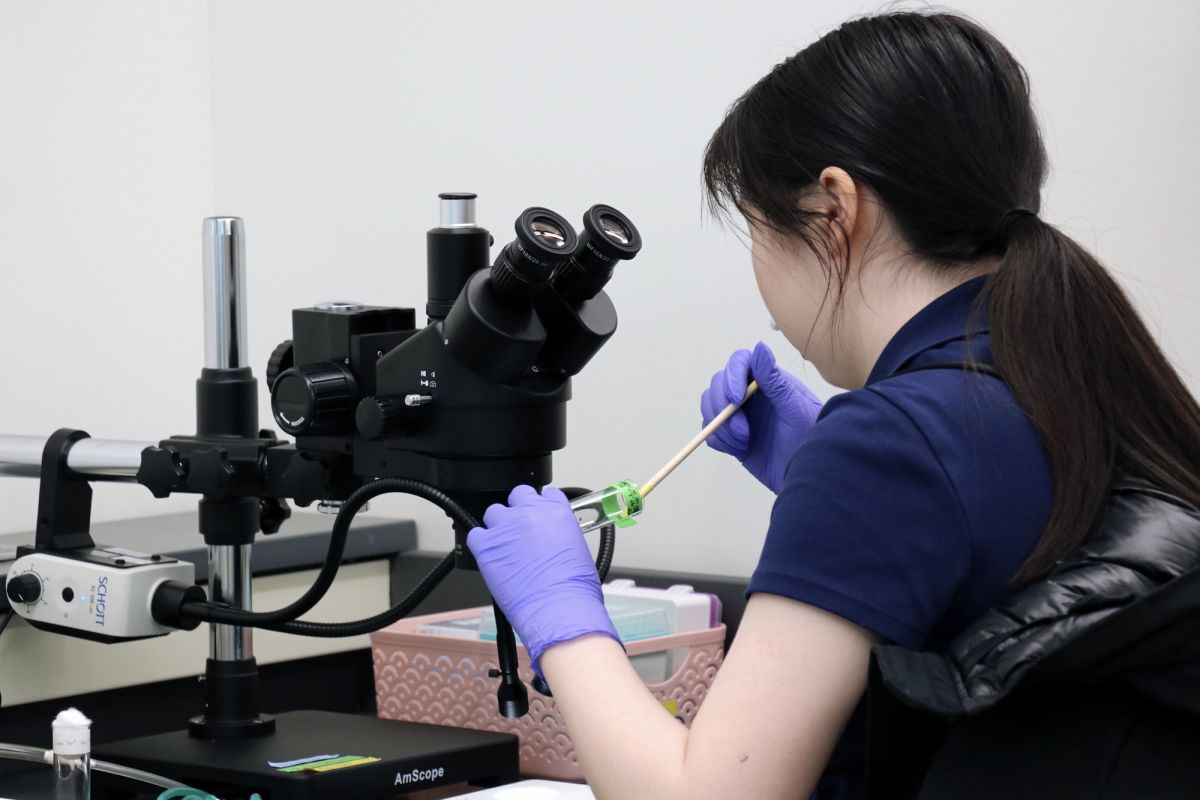 The Far Reach of the Upper School Fly Lab | Stories Details Page