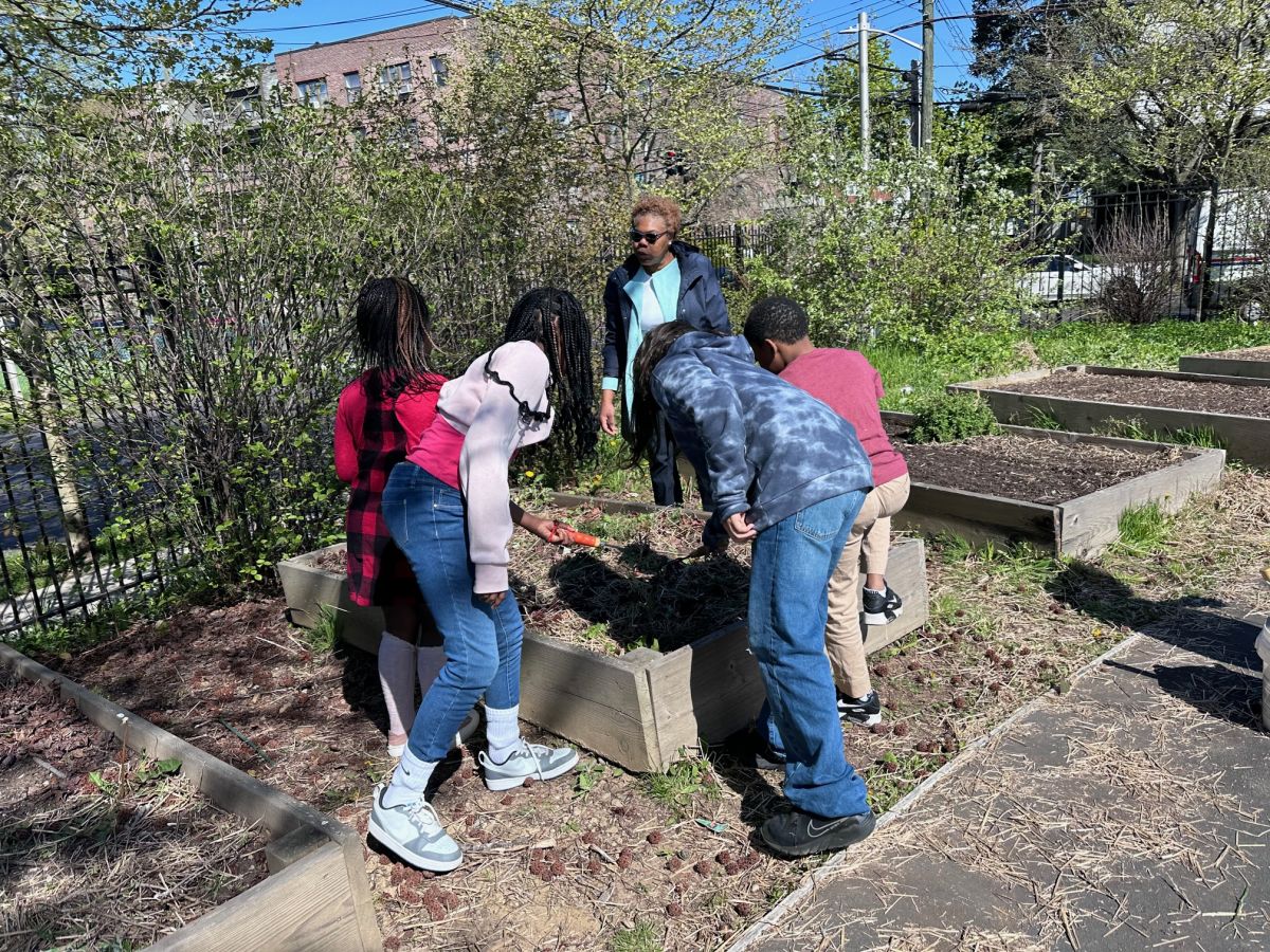 Graham School prepares garden to celebrate Earth Day | News Details