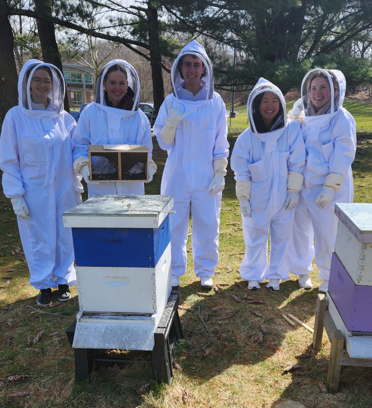 WHS Beekeeping Club tends the bees | Post Details