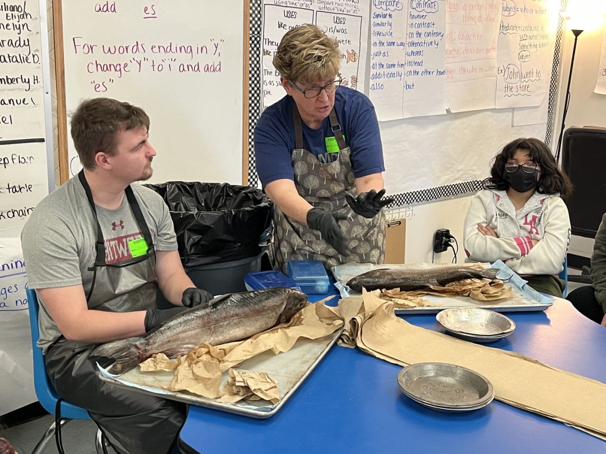 A Stream of Knowledge | Post Details