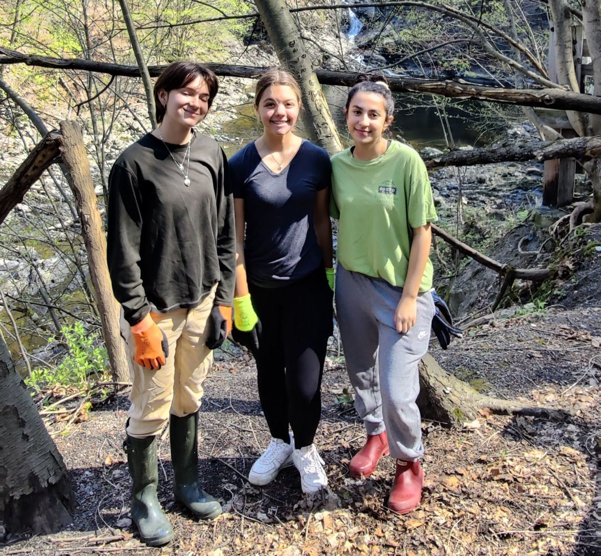 Green CEO | News Details