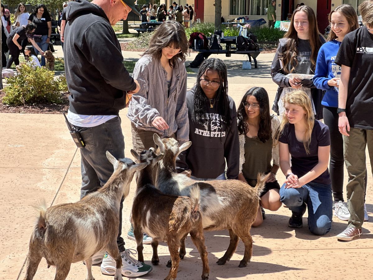 Students Embrace Mental Health Awareness Month with Wellness Activities ...