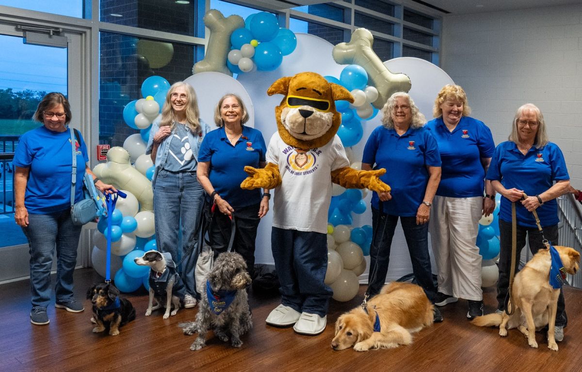 CCISD Community Celebrates 2024 Partners and Volunteers of the Year ...