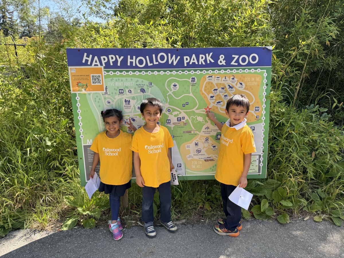 Kindergarten Visits Happy Hollow | News Details