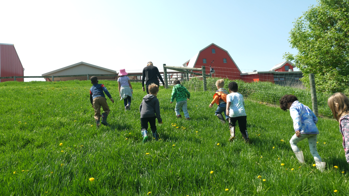 Gatewood Kindergartners Visit Gale Woods Farm | article