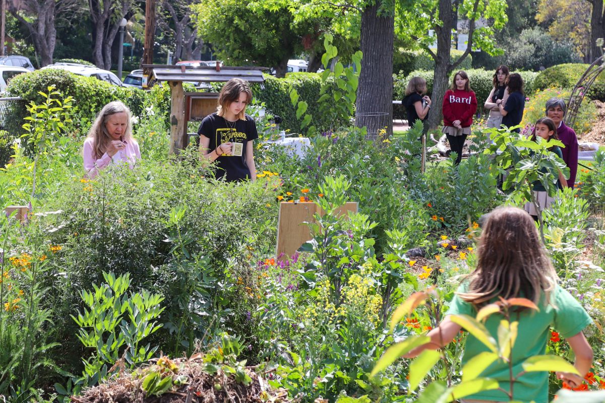 Permaculture & Sustainability Garden Hosts Second Annual Open House ...