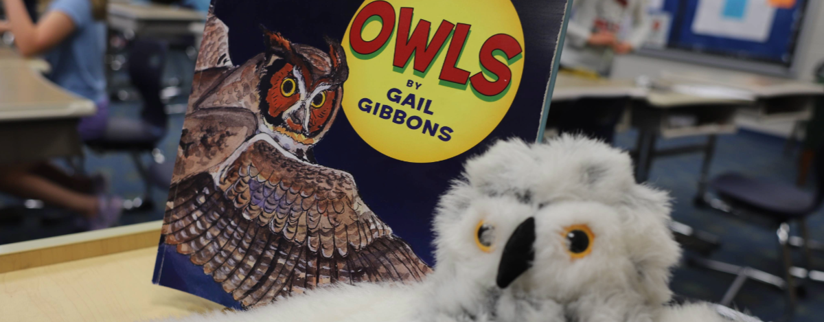 Woodland students find owl activities a hoot | TSC Posts