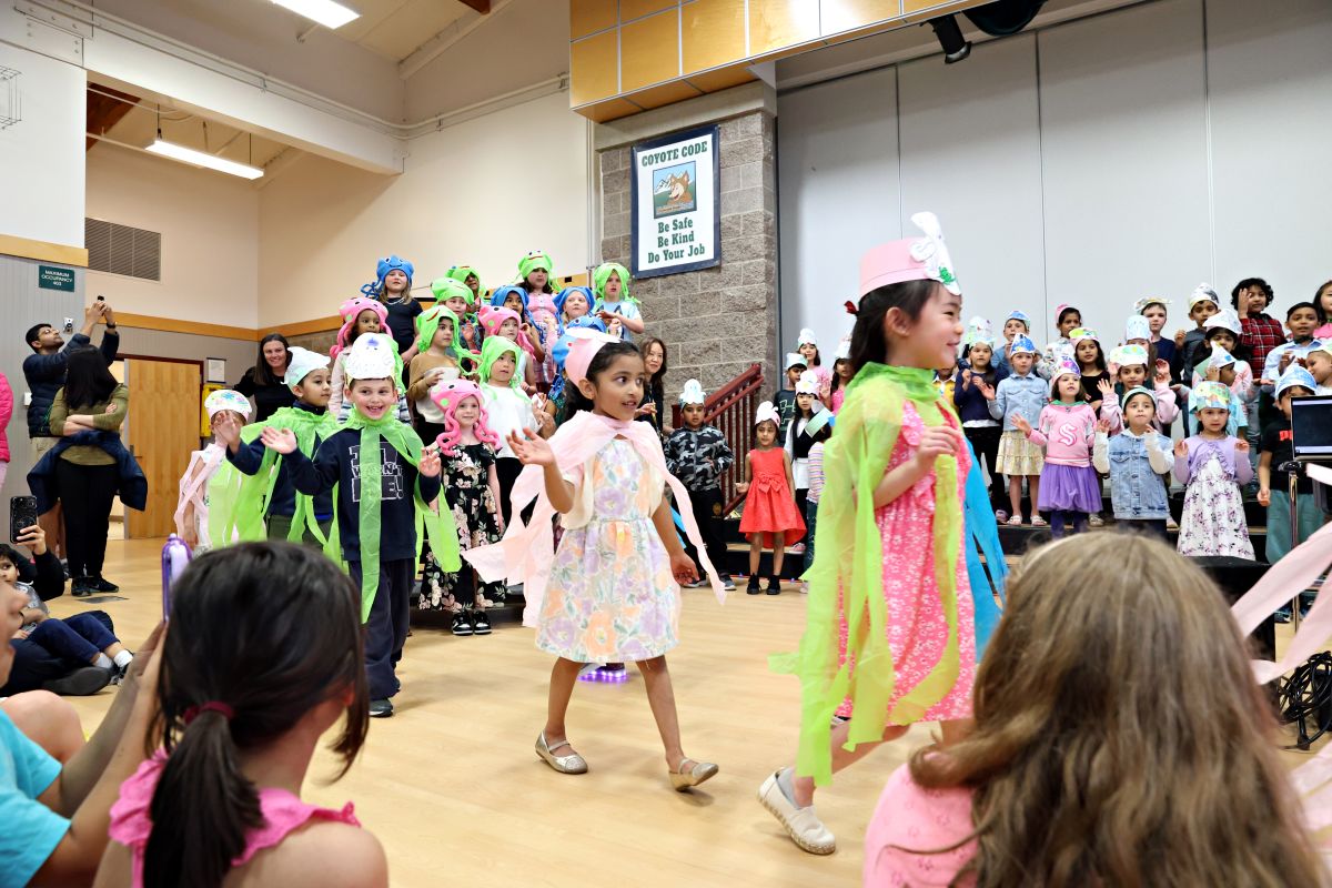 Seas the Day! Students Bring the Ocean to Life on Stage! | News Article ...