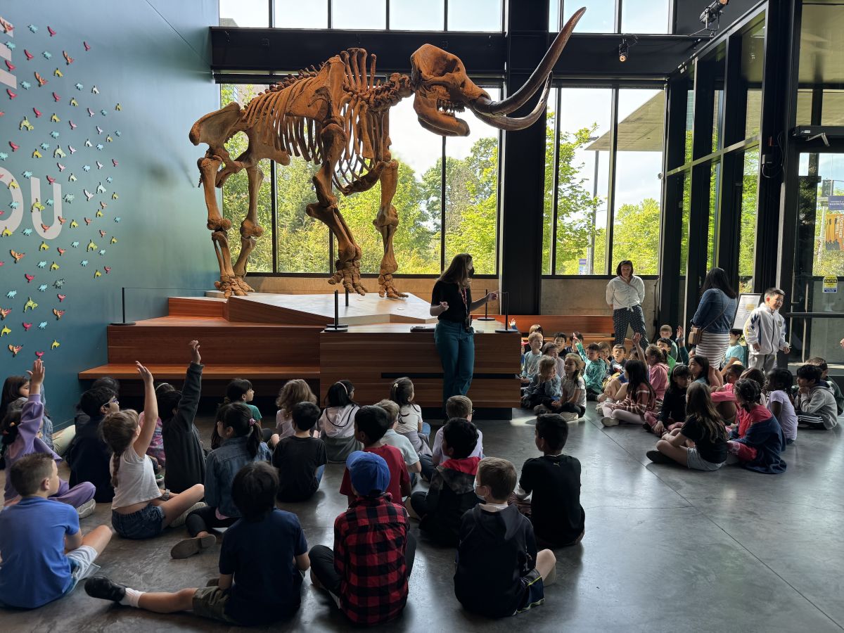 Digging Up Fun: 2nd Graders' First Field Trip to the Burke Museum ...
