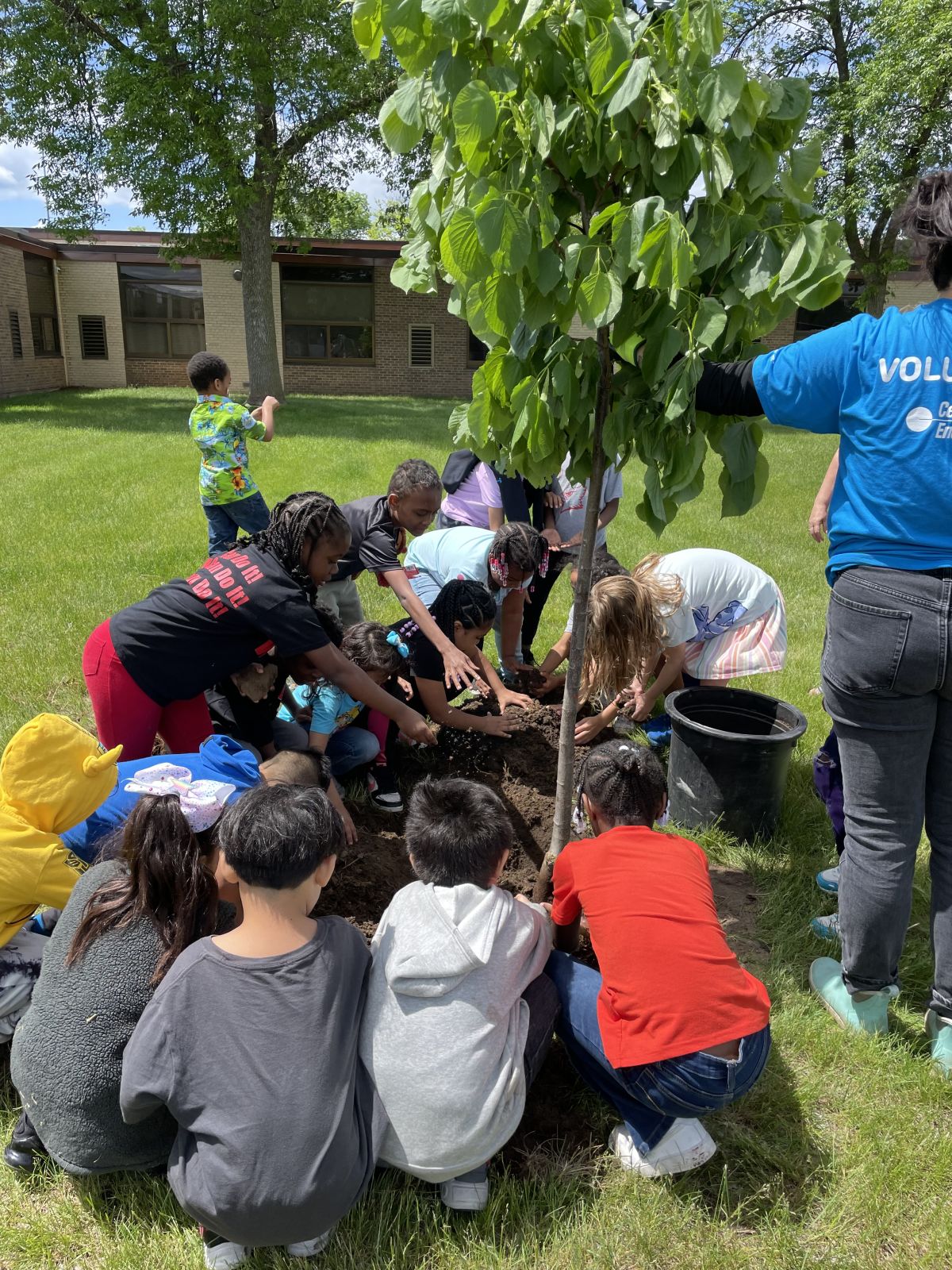 Crest View Elementary teams up with Tree Trust for learning and ...