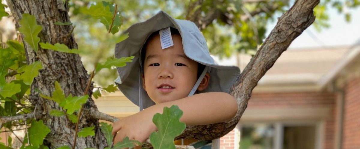 Beginning School Emphasis on Tree Climbing Builds Important Skills in ...