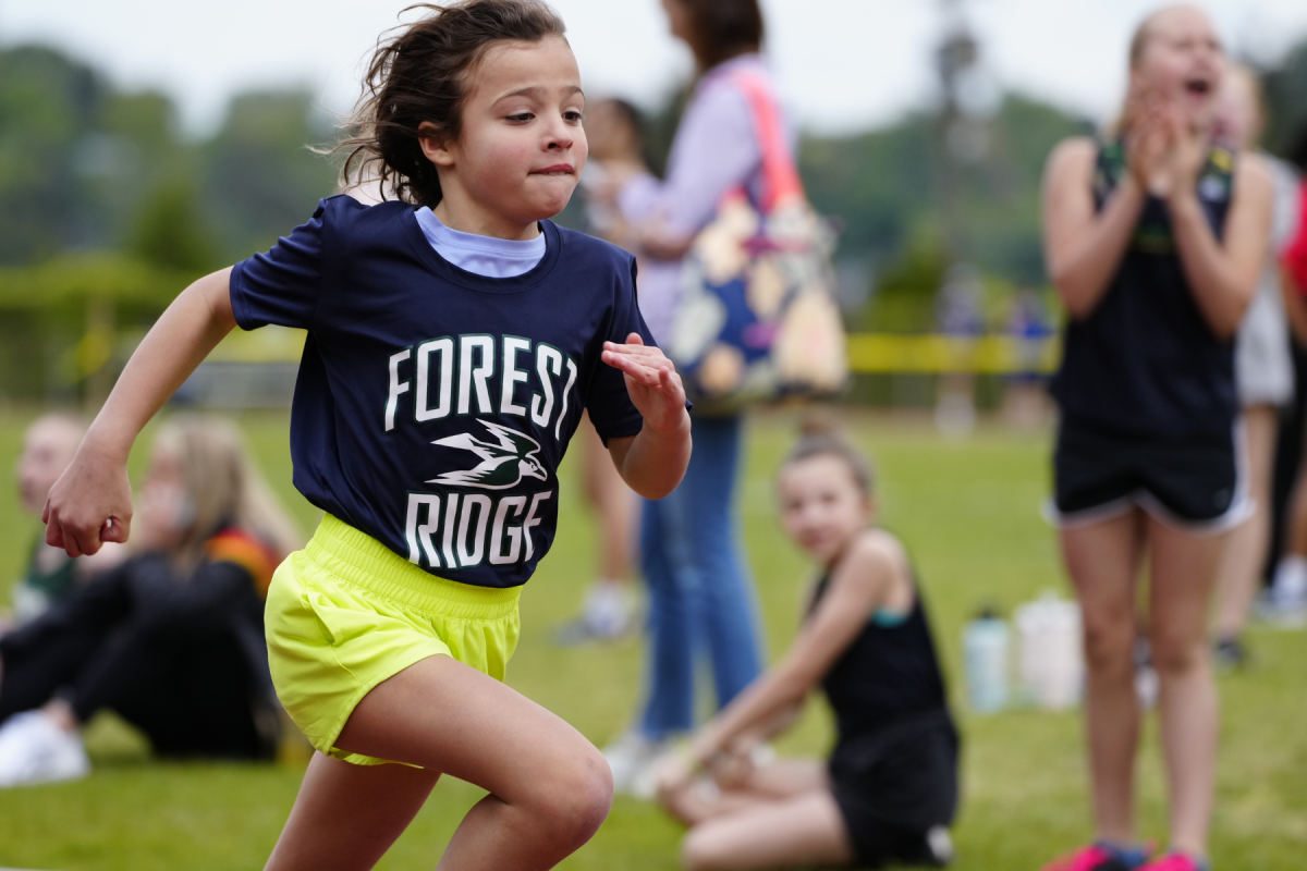 Spring Sports Season Recap | Post Details