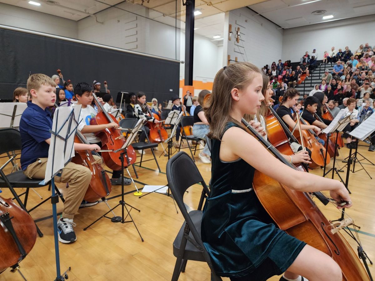 Elementary orchestra program caps off school year with district wide ...