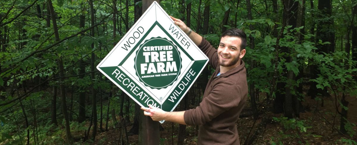 Student Research Leads to Tree Farm Certification | News Details