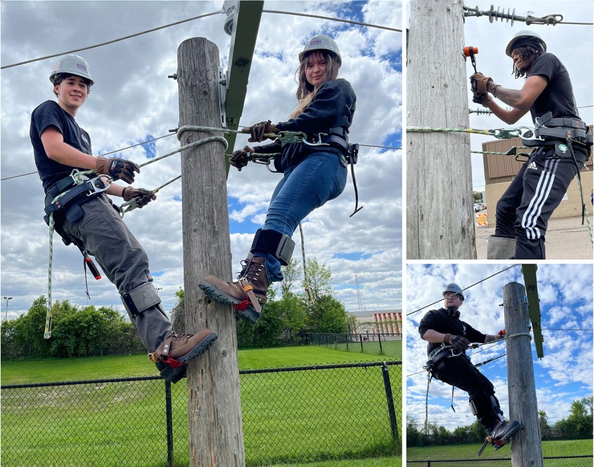 Electrical Professionals in the Making | Post Details