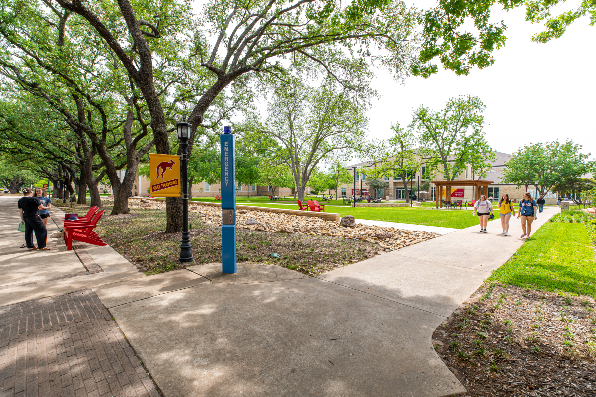 The Austin College Commons | Details