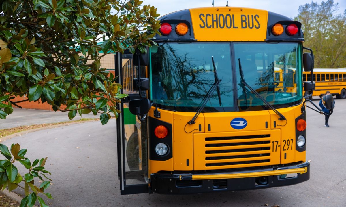 Check Bus Route Information Before First Day | InFocus News Template