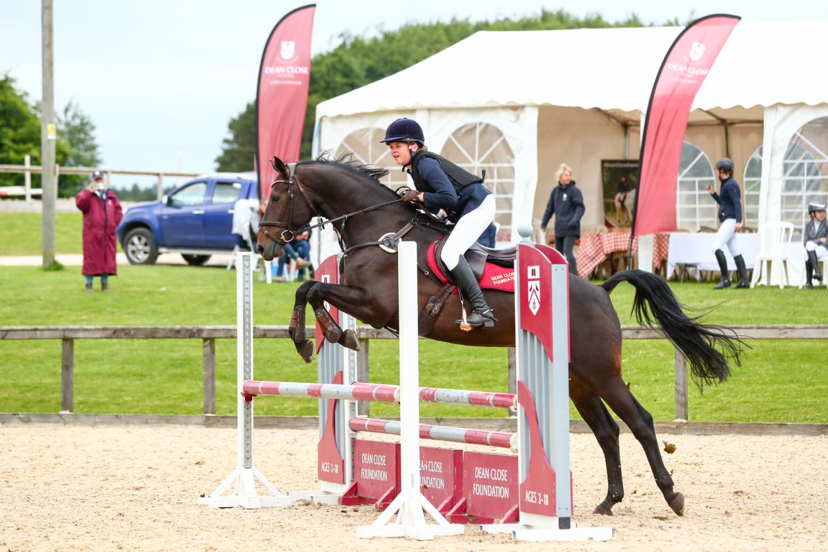 The Foundation-Wide Sponsored NSEA Show Jump Event | Default Post