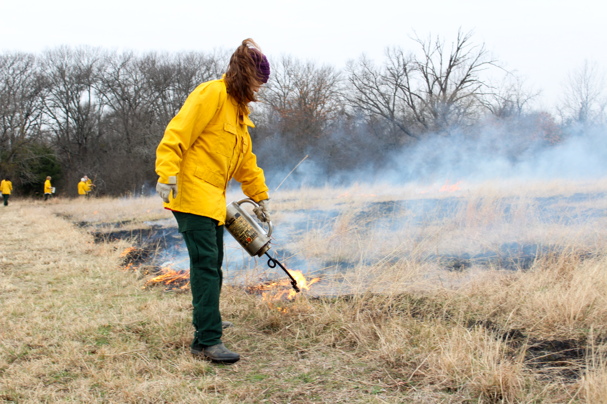 Austin College Environmental Studies Summer Internships | Details