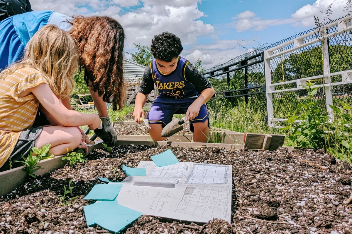 3rd Grade Creates a Garden Using Math, Plant Knowledge, and ...