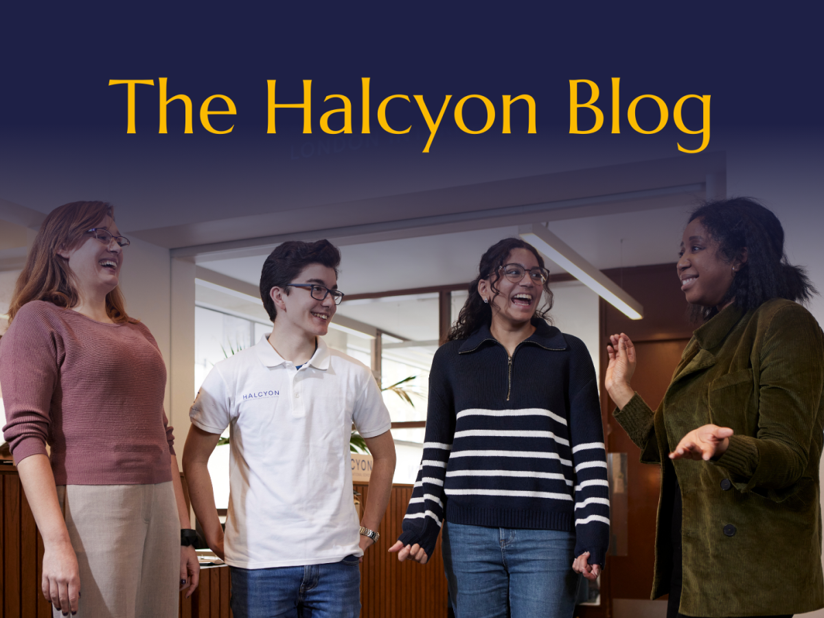 The Halcyon Bursary Programme | Posts Detail