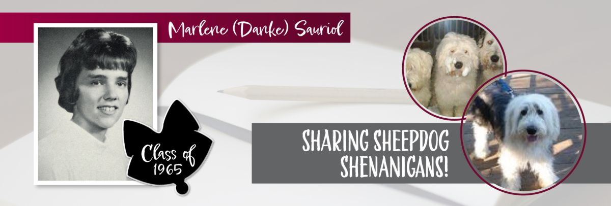 1965 Grad is a Published Children's Book Author | Fox Tales Stories