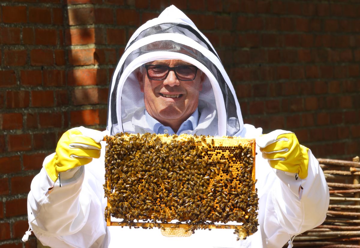 New Beehive creates Buzz at Senior School | Post