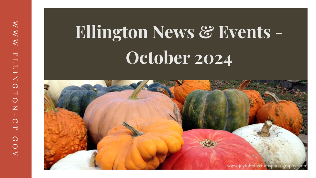 October 2024 Newsletter | Town Newsletters