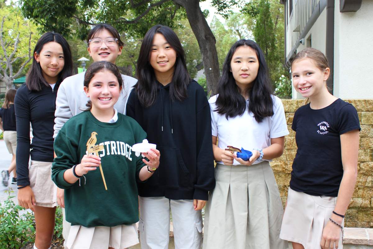 Sink or Float? 7th Graders Apply the Engineering Design Process in a Boat Buoyancy Project ...