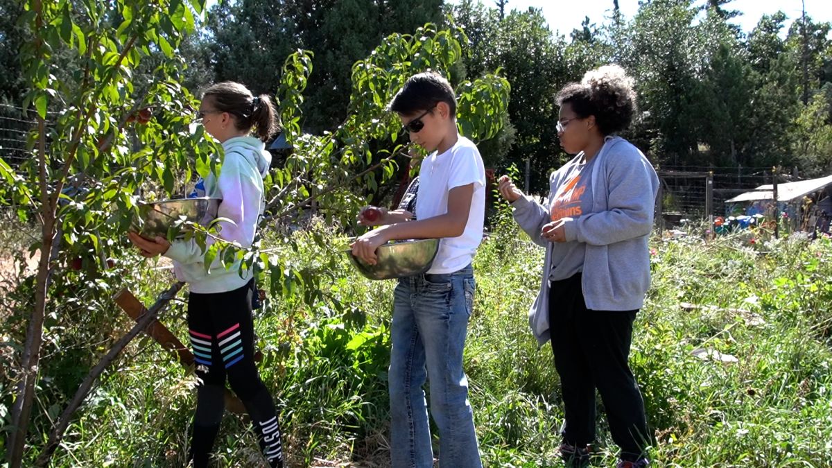 The Campus visits Flying Pig Farm | Posts Details/Default Board Post Page